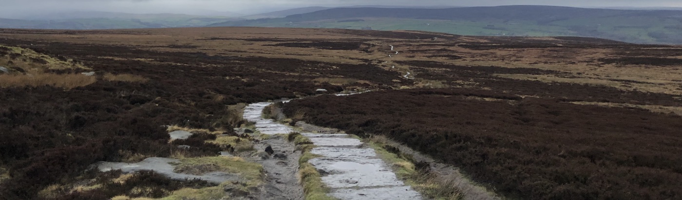 Confluent Schema Registry Rest Api Cheatsheet