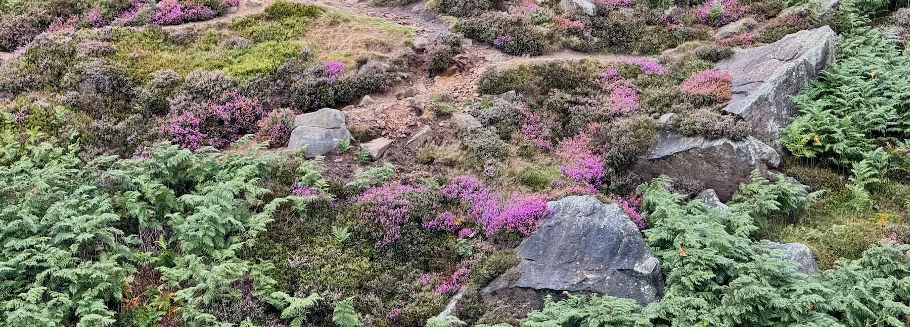 Connecting Apache Flink Sql To Confluent Cloud Kafka Broker